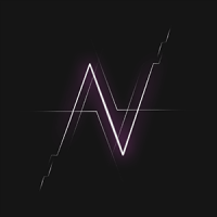 Voorbeelden van gewapende elementen – PANEVA-structure